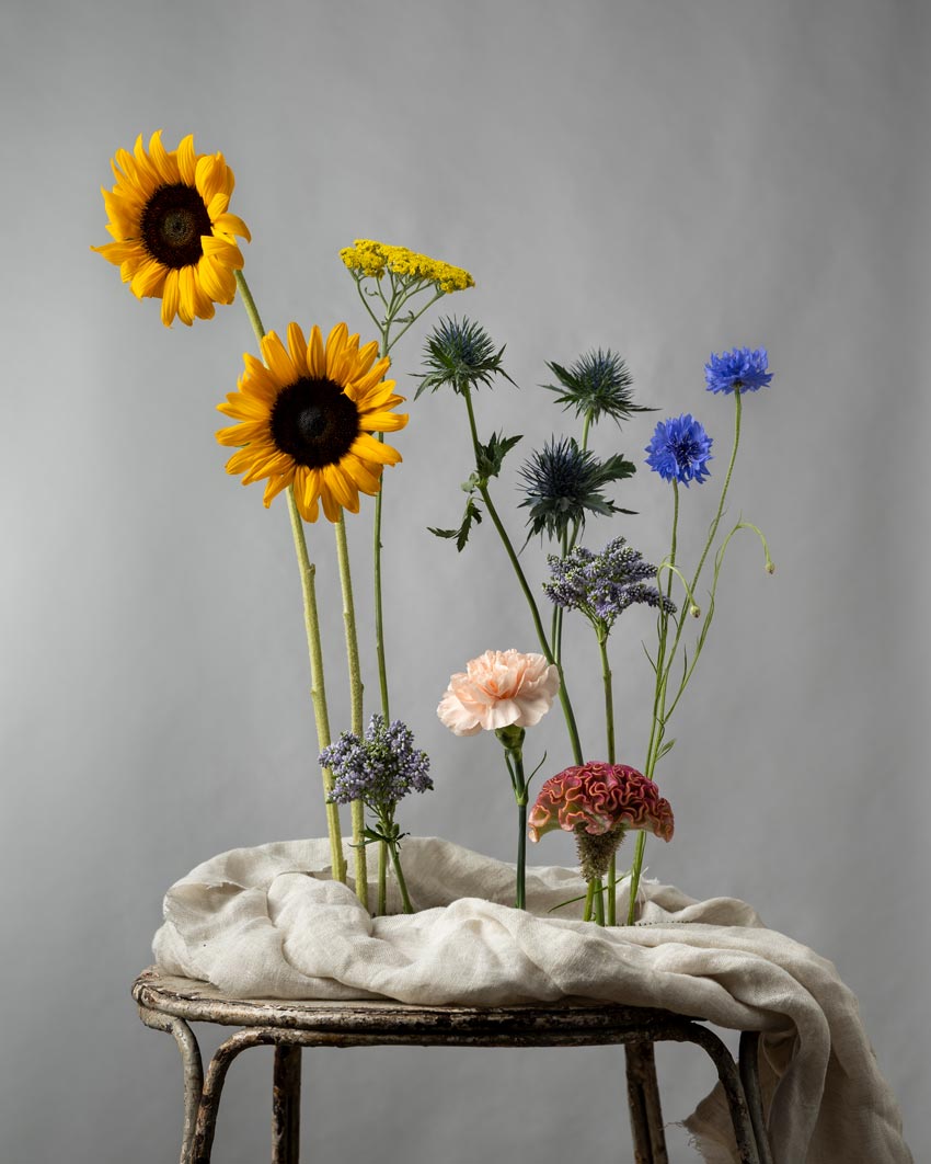 Creative Bouquet, total espression of our Floral Designers - Frida's